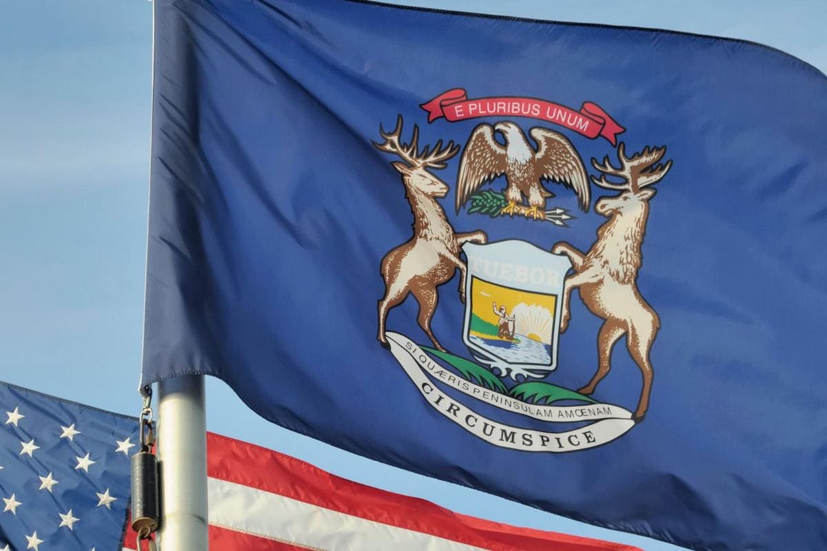 Did you know the Michigan flag has hidden meanings? - Daily Mitten